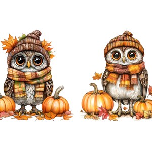 Autumn Owl Clipart, 14 JPG, Cute Owl Fall Clip Art, Paper Crafting ...