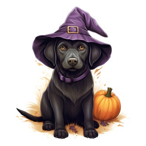 Halloween Black Lab Clipart, Watercolor Witch Dog (12 Jpgs) (commercial ...