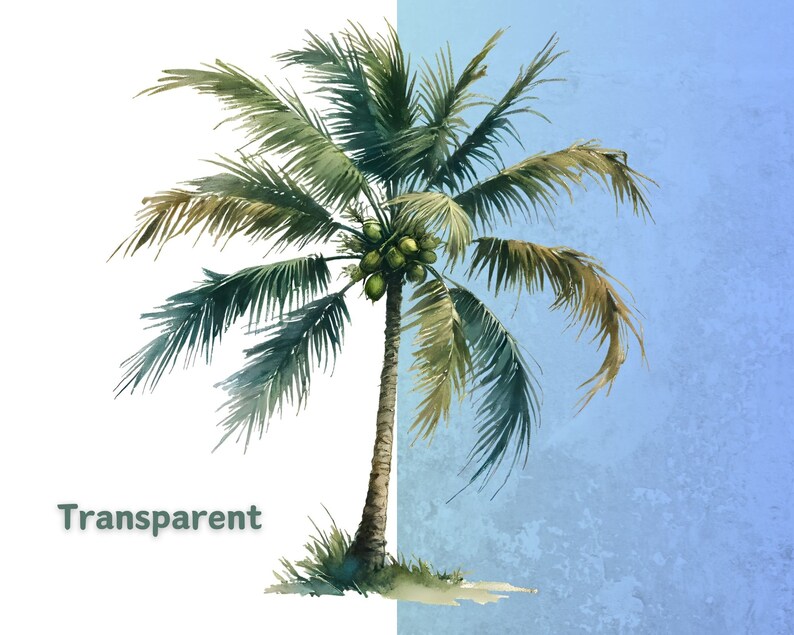 Watercolor Palm Tree Clipart, 12 Tropical PNG Images (digital Download ...