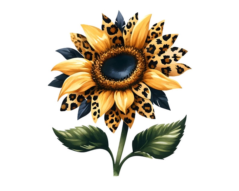 Watercolor Leopard Sunflower Clipart: 12 PNG Graphics (digital Download ...