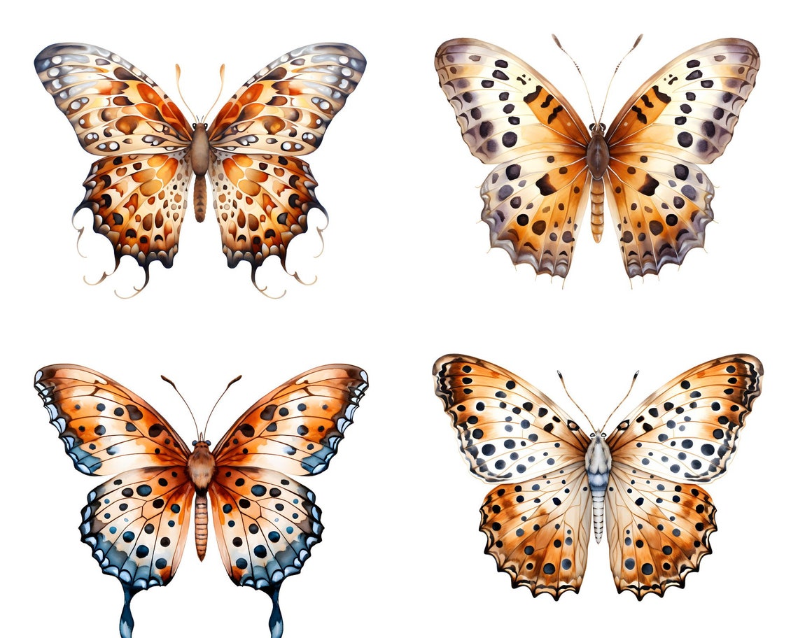 Watercolor Butterflies Clipart, 24 PNG, Cute Butterfly Clip Art ...