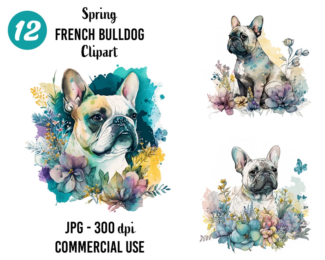 Spring French Bulldog Watercolor Clipart, 12 High-quality Jpgs, Clipart ...