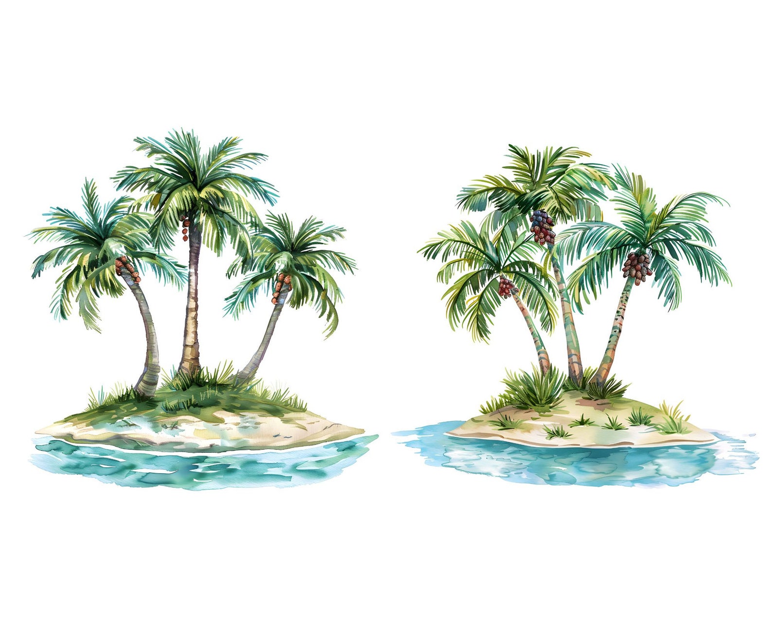 Watercolor Palm Tree Clipart, 16 JPG, Tropical Clip Art, Digital Paper ...