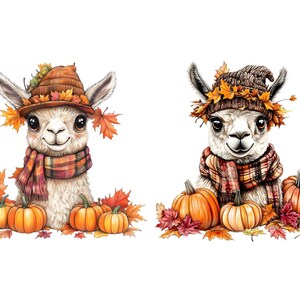 Autumn Llama Clipart, 14 JPG, Cute Fall Clip Art, Paper Crafting, Card ...