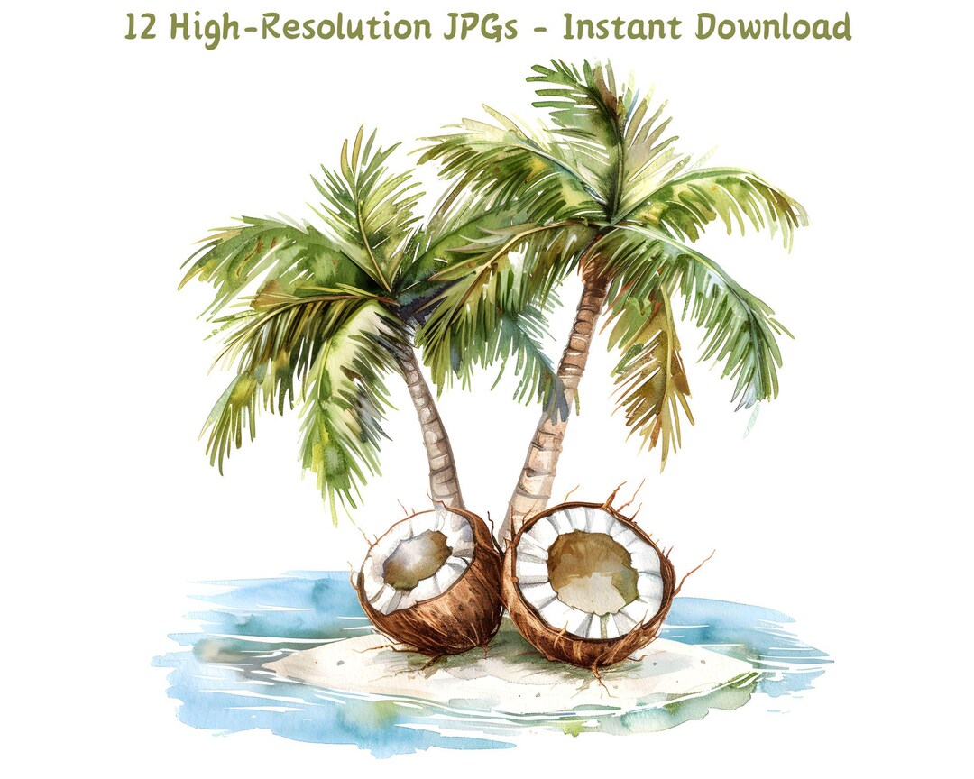 Watercolor Palm Tree Clipart: Tropical Beach Art (digital Download) - Etsy