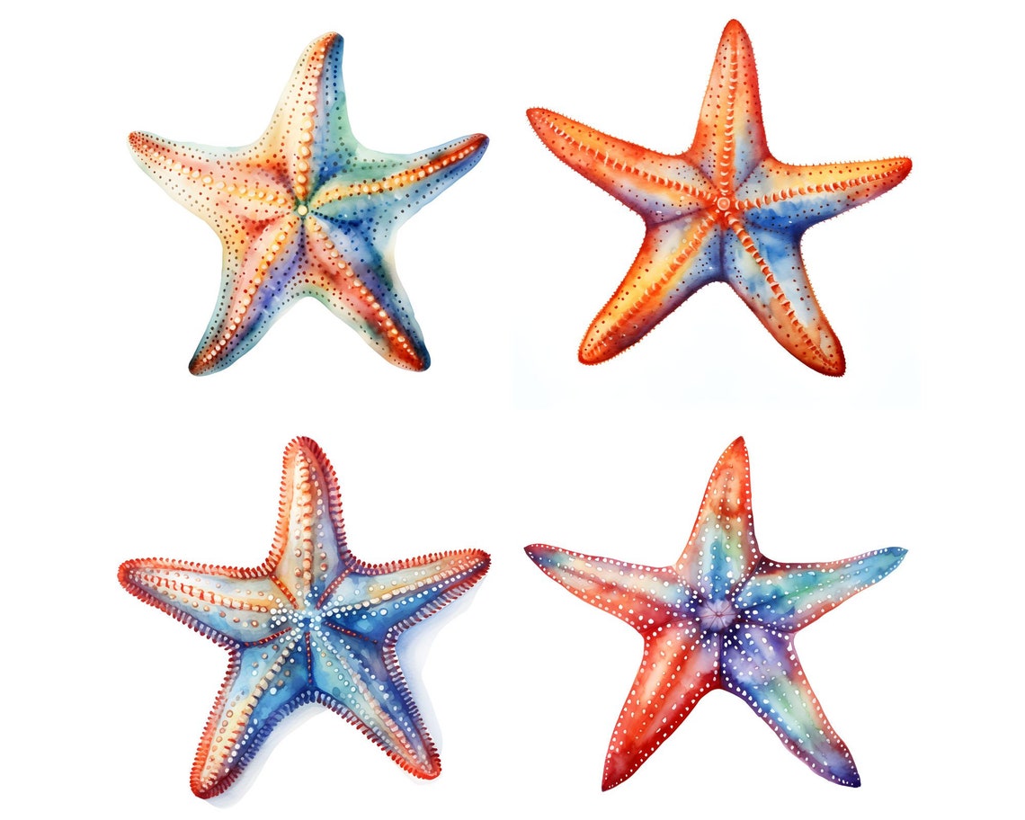 Watercolor Starfish Clipart, 24 High-quality JPG, Summer Clip Art ...