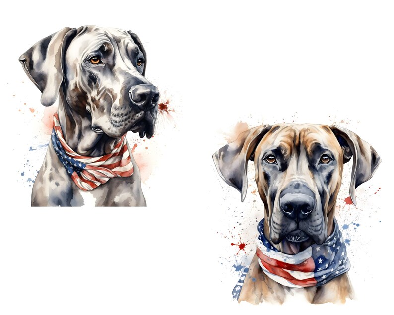 Watercolor Patriotic Great Dane Clipart, 10 High-quality Jpgs, 4th of ...