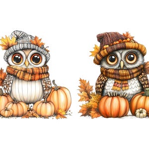 Autumn Owl Clipart, 14 JPG, Cute Owl Fall Clip Art, Paper Crafting ...
