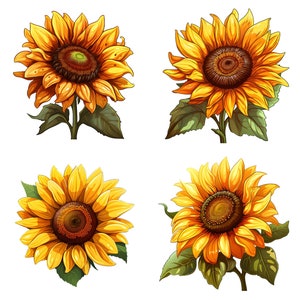 Sunflower Clipart Bundle, Sunflowers PNG, Summer Flowers, Sublimation ...