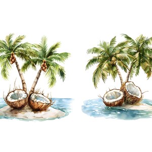 Palm Tree With Coconut Clipart, 12 JPG, Watercolor Tropical Clip Art ...