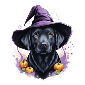 Halloween Black Lab Clipart, Watercolor Witch Dog (12 Jpgs) (commercial ...