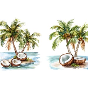 Palm Tree With Coconut Clipart, 12 JPG, Watercolor Tropical Clip Art ...
