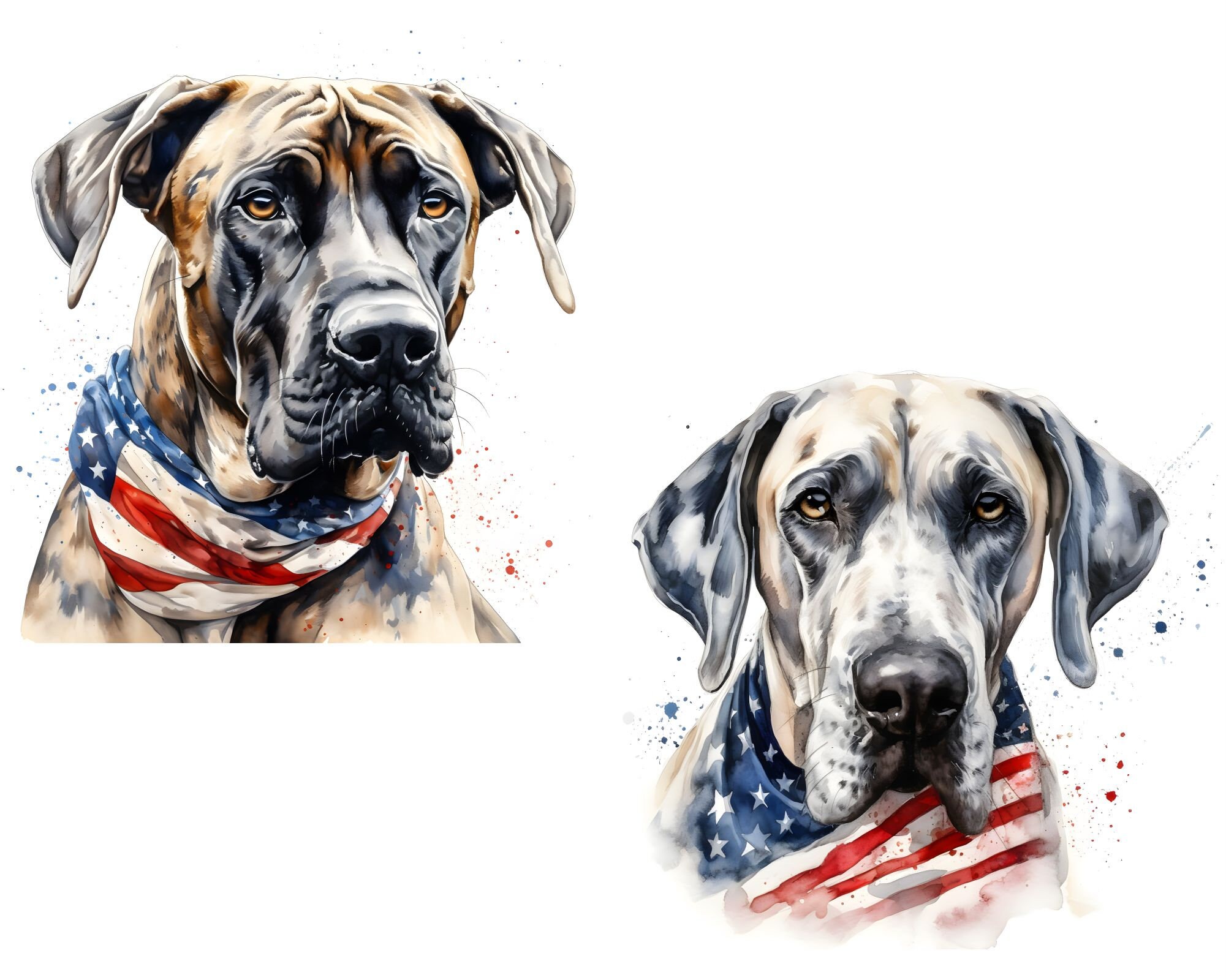Watercolor Patriotic Great Dane Clipart, 10 High-quality Jpgs, 4th of ...
