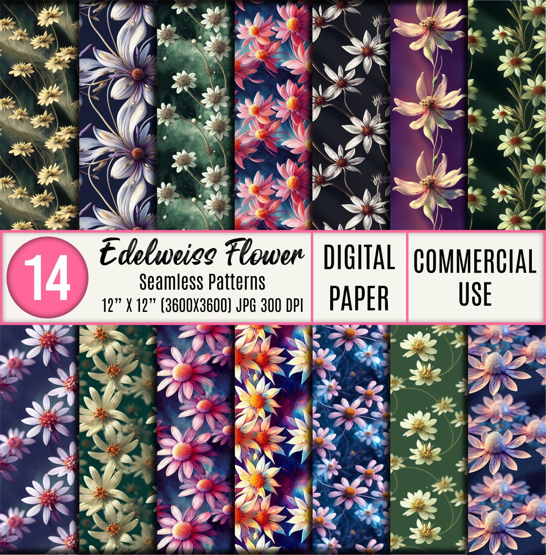 Edelweiss Flower Seamless Pattern, Flower Pattern, Edelweiss Digital ...