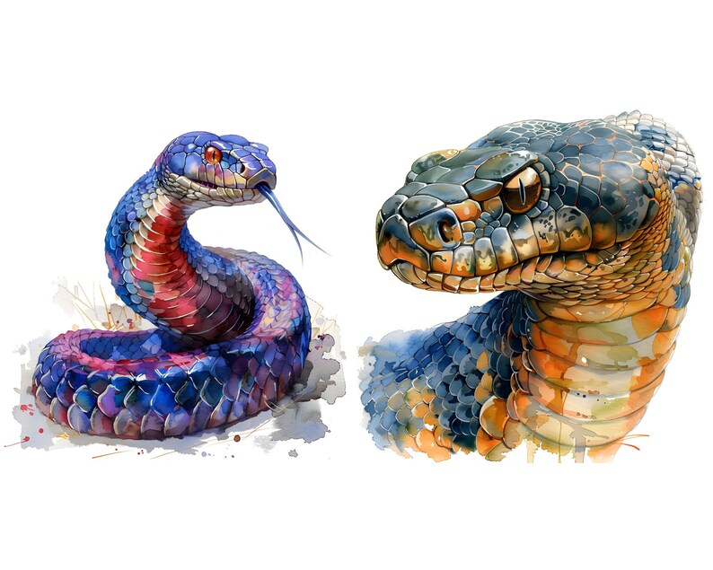 Watercolor Cobra Snake Clipart, 14 High Quality JPG, Digital Paper ...