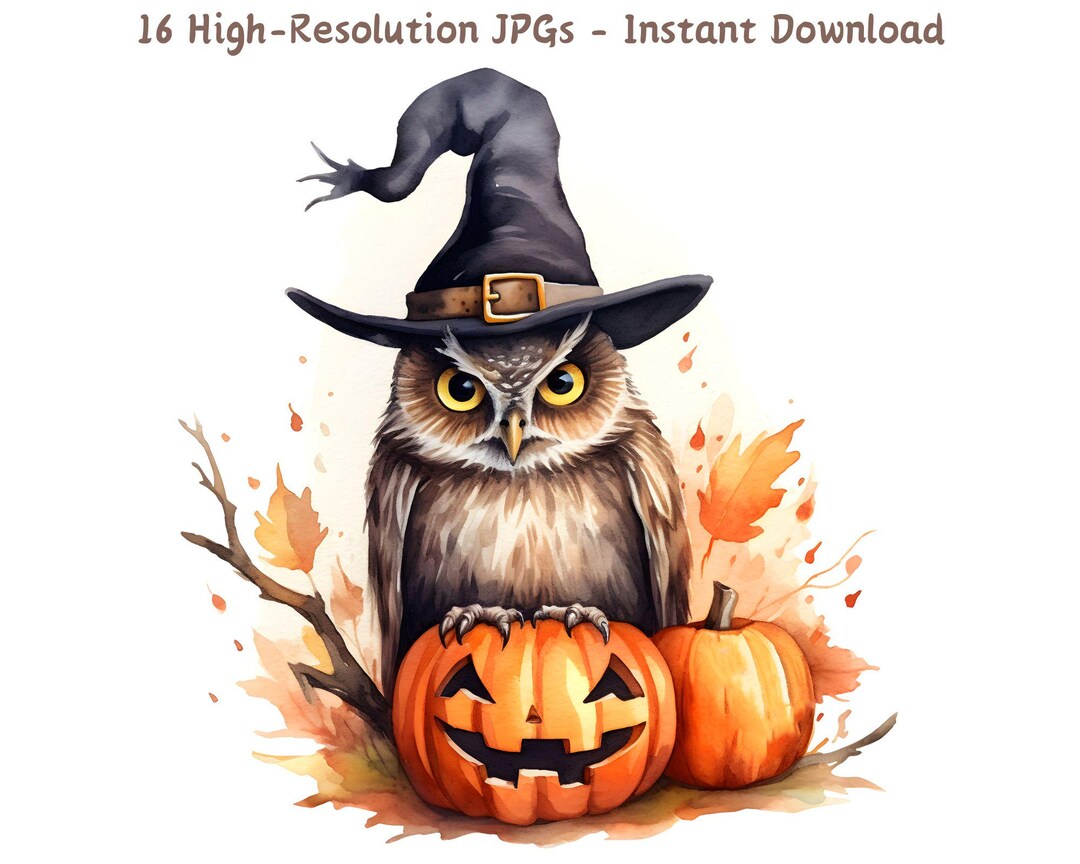 Watercolor Halloween Owl Clipart, Spooky Owl With Pumpkin & Witch Hat ...