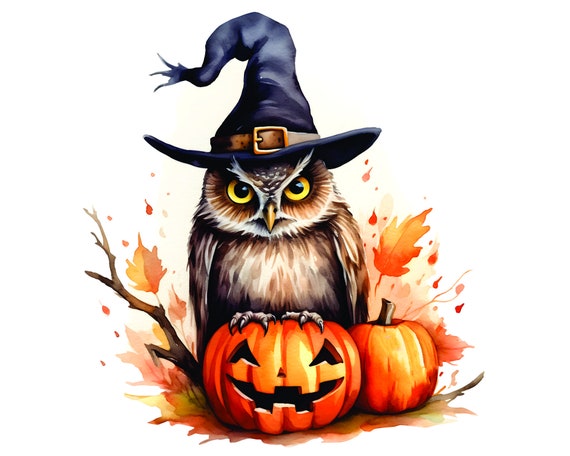 Owl And Pumpkin Clipart