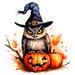 Halloween Witch Owl Clipart, 16 Jpgs, Watercolor Owl, Halloween Owl ...