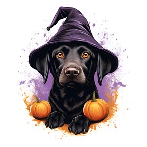 Halloween Black Lab Clipart, Watercolor Witch Dog (12 Jpgs) (commercial ...