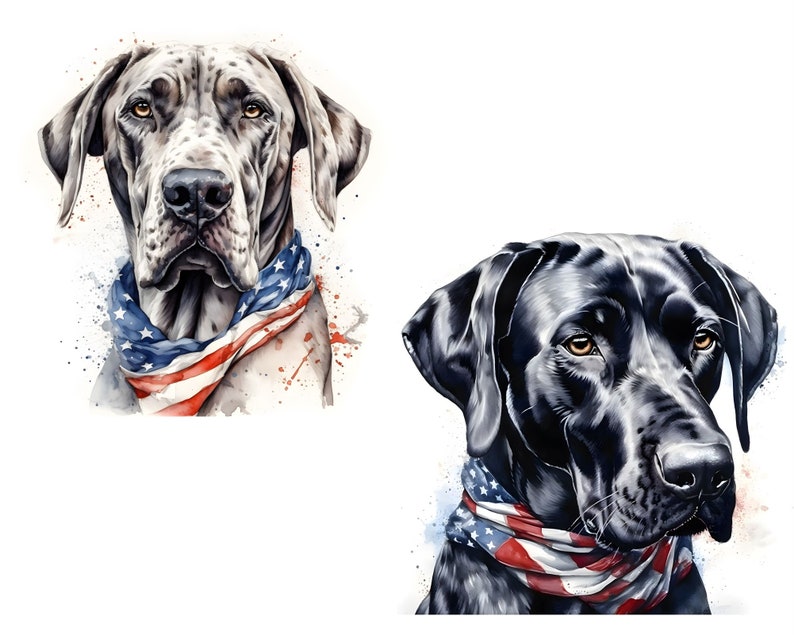 Watercolor Patriotic Great Dane Clipart, 10 High-quality Jpgs, 4th of ...