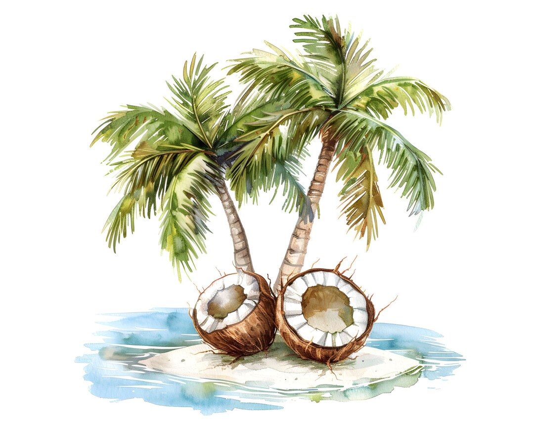 Palm Tree With Coconut Clipart, 12 JPG, Watercolor Tropical Clip Art ...