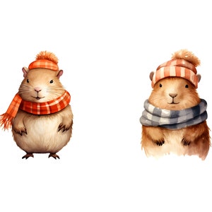 Winter Capybara Clipart, 10 PNG, Winter Clipart, Animal Clipart, Animal ...