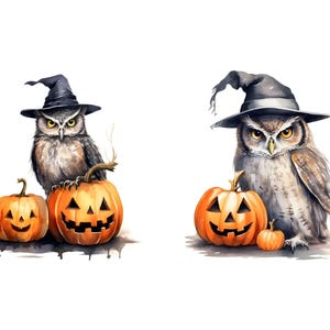 Watercolor Halloween Owl Clipart, Spooky Owl With Pumpkin & Witch Hat ...