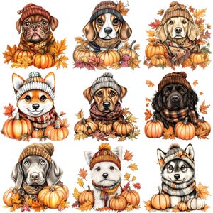 Autumn Dogs Clipart, 80 JPG, Fall Dog Bundle Clip Art, Paper Crafting ...