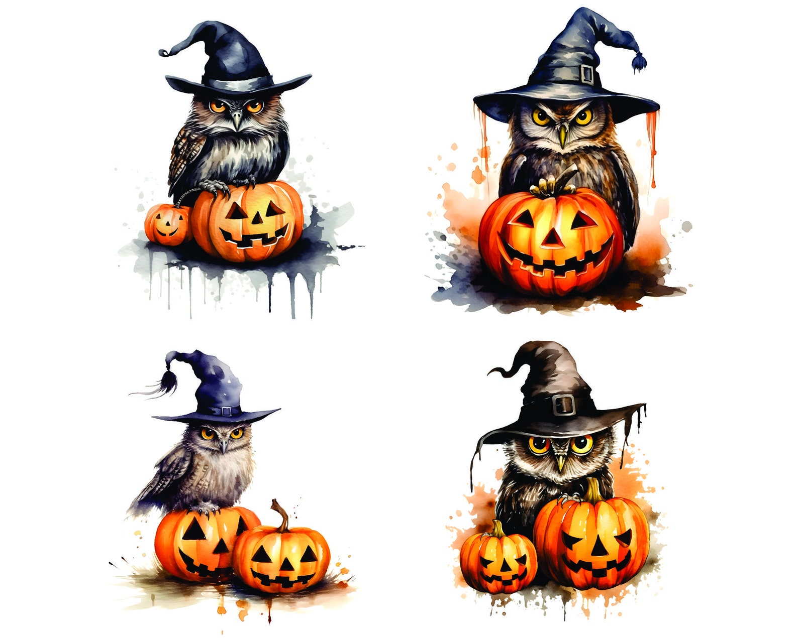 Halloween Witch Owl Clipart, 16 Jpgs, Watercolor Owl, Halloween Owl ...