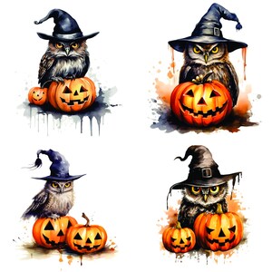 Halloween Witch Owl Clipart, 16 Jpgs, Watercolor Owl, Halloween Owl ...