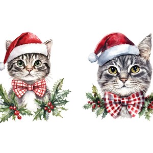 Christmas Cat Clipart, 12 PNG, Printable Sublimation Xmas Clip Art ...