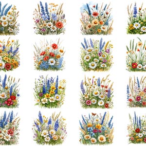 Meadow Flowers Clipart, 16 JPG, Spring Meadow Illustration, Watercolor ...