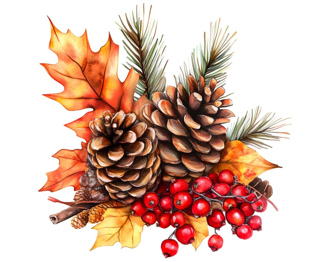 Watercolor Autumn Leaves Clipart: Pine Cones & Berries (JPG Digital ...