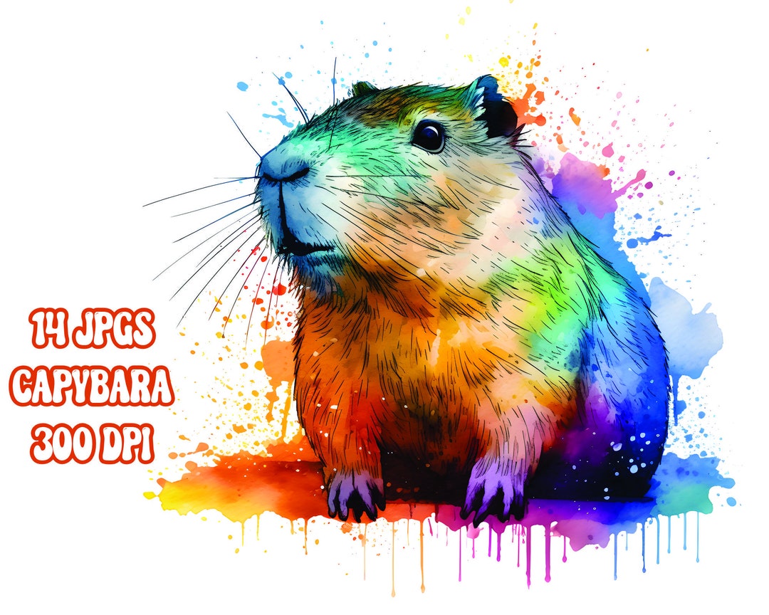 Watercolor Capybara Clipart, 14 High Quality Jpgs, Capybara Wall Art ...