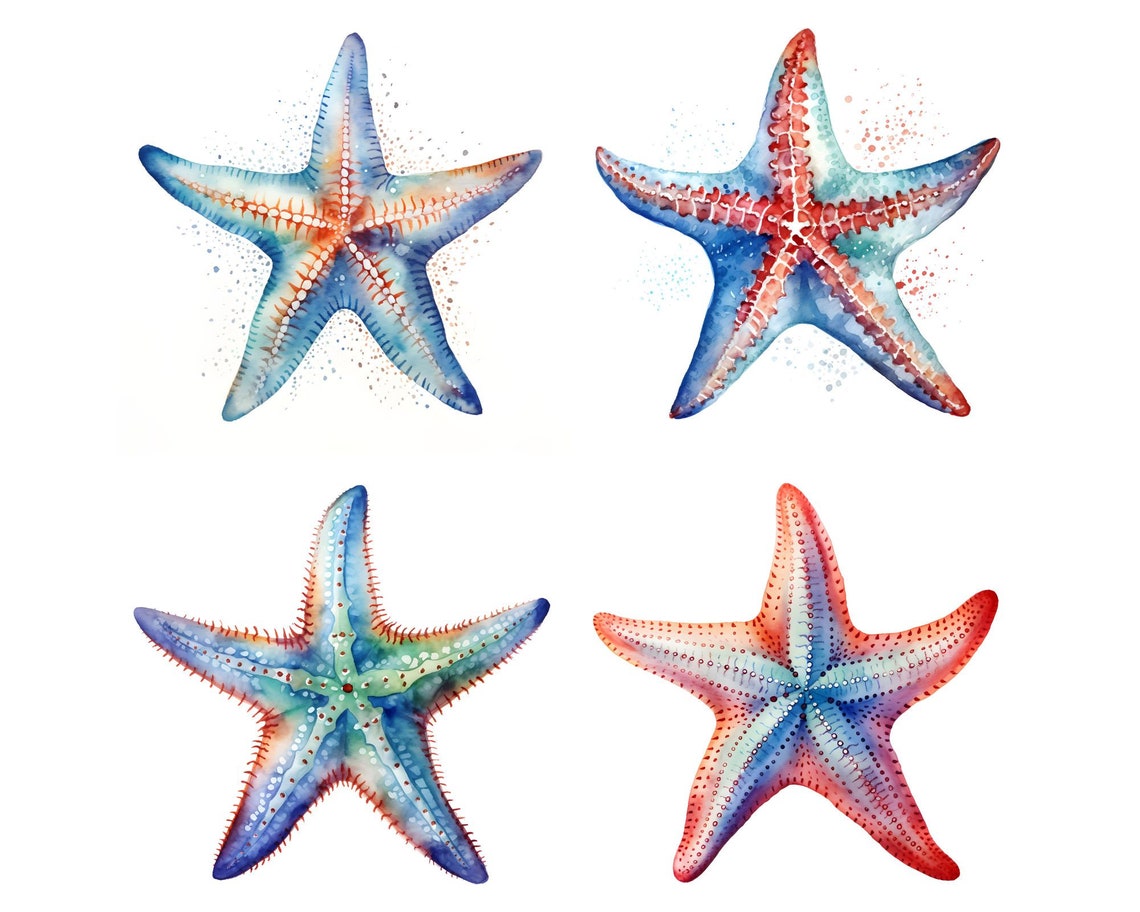 Watercolor Starfish Clipart, 24 High-quality JPG, Summer Clip Art ...