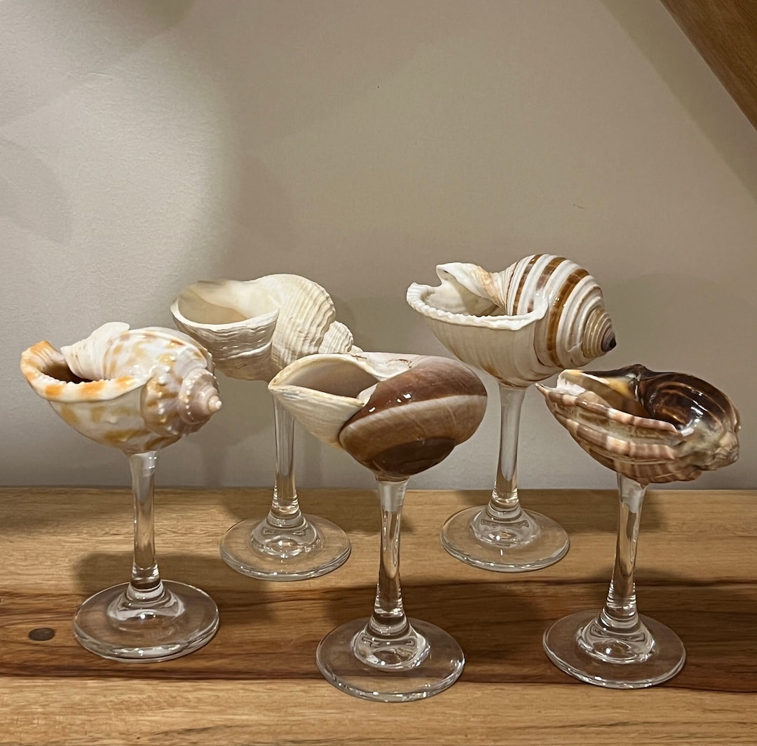 Seashell Wine Glasses Seashell Martini Glasses Glass Ornament Goblet ...
