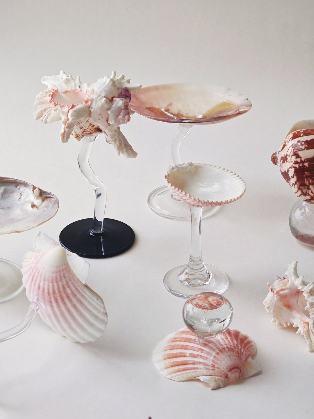 2024 Romantic Gift Set Set of 10 Coupe Glasses Seashell Martini Glasses ...