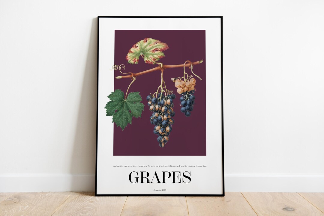 Vintage Grape Illustration Poster Genesis 40:10 Bible Verse Art ...