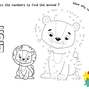 Animal Dot to Dot Activity Book for Kids - Etsy