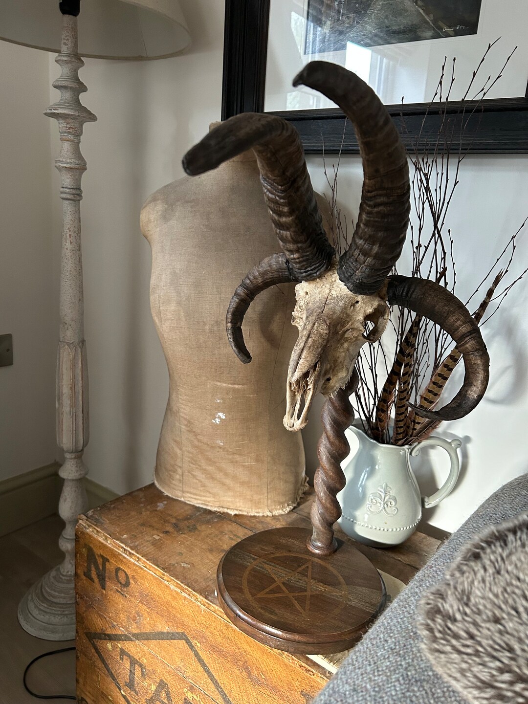 Pagan Jacobs Four Horned Sheep Display - Etsy