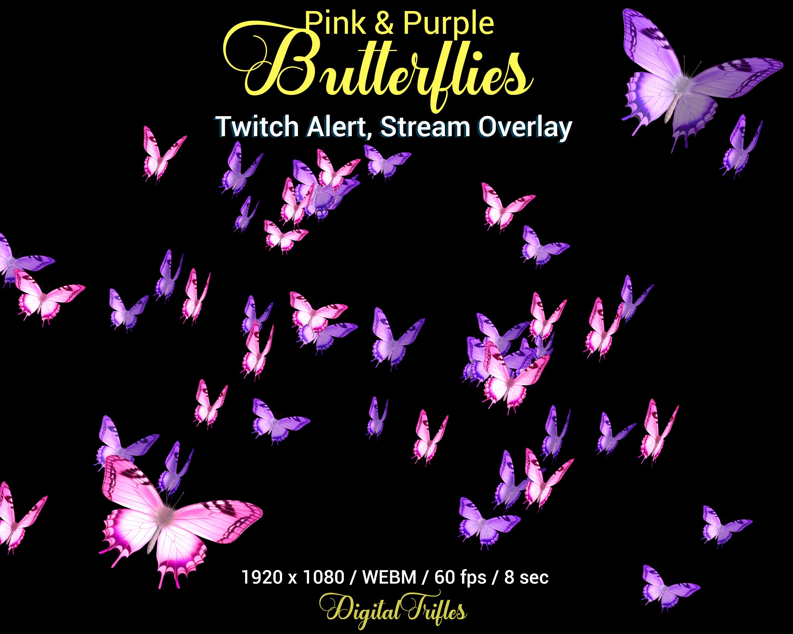 Animated Twitch Overlay Butterfly Themed, Stream Decoration, Fullscreen ...