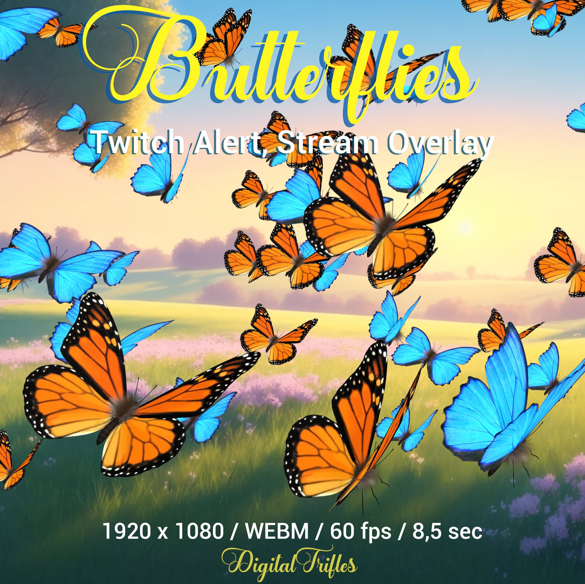 Butterfly Twitch Overlay, Animated Stream Decoration, Full-screen Alert ...