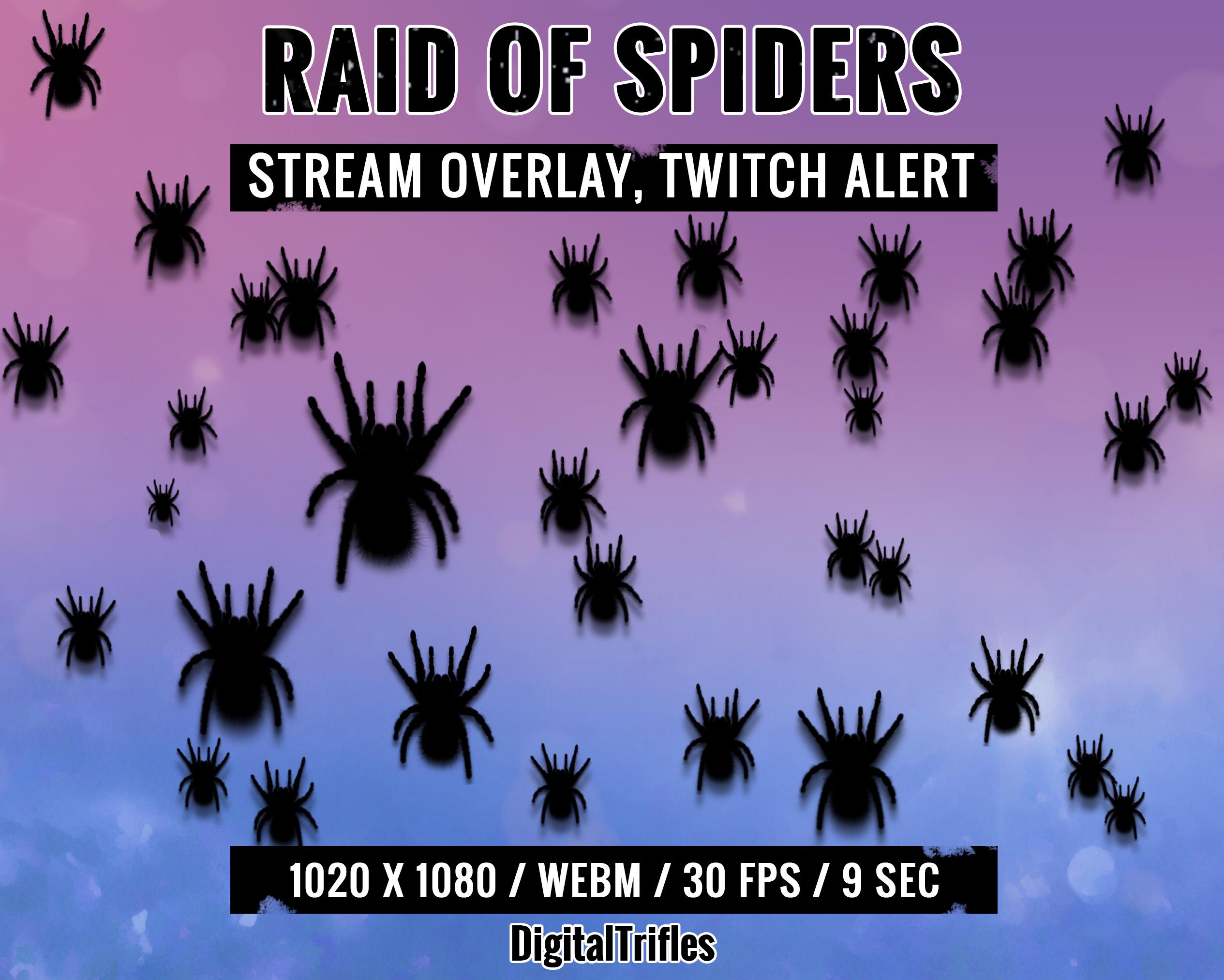 Animated Spiders Stream Overlay, Twitch Alert, New Raid, Follow, Horror ...