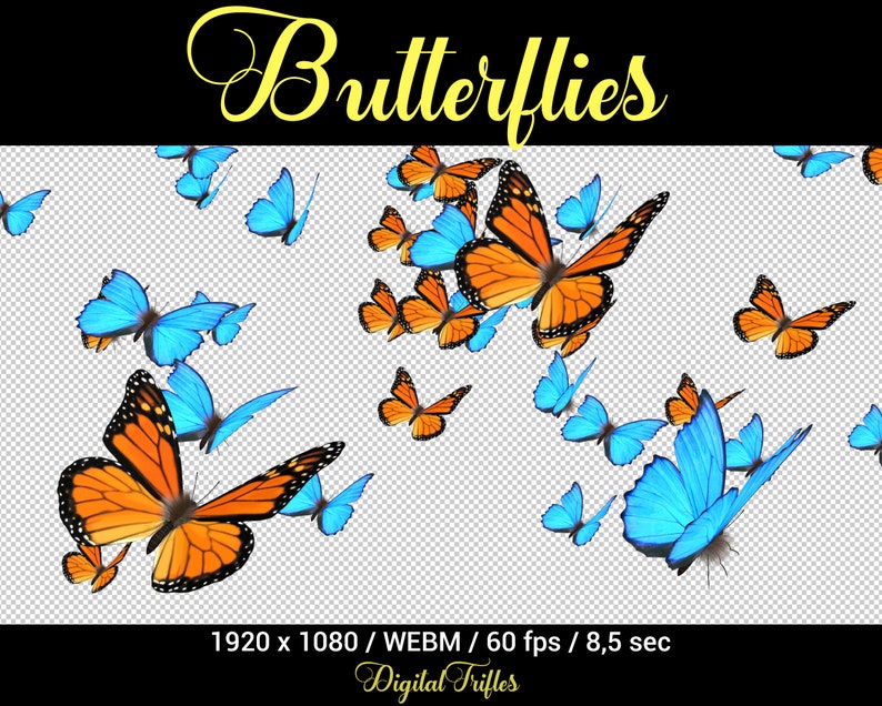 Butterfly Twitch Overlay, Animated Stream Decoration, Full-screen Alert ...