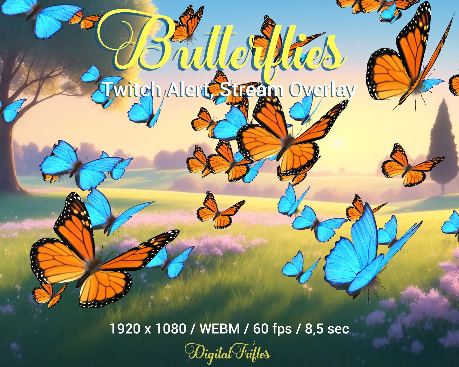 Butterfly Twitch Overlay Animated Stream Decoration, Fullscreen Alert ...