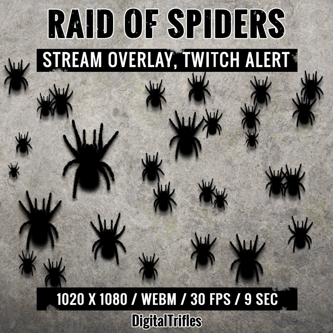 Spiders Animated Stream Overlay, Full Screen Twitch Alert, Raid, Cheer ...