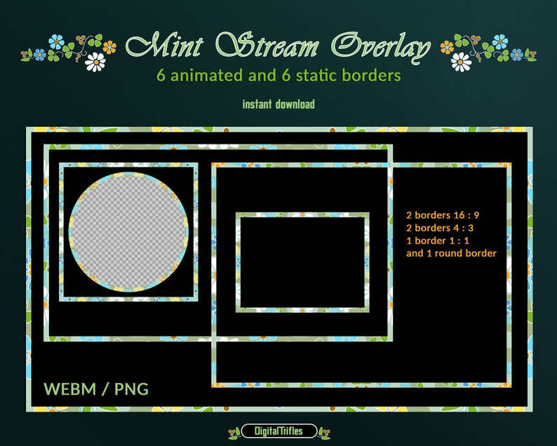 Mint Green Webcam Overlay for Twitch, Youtube, Animated Border Overlay ...