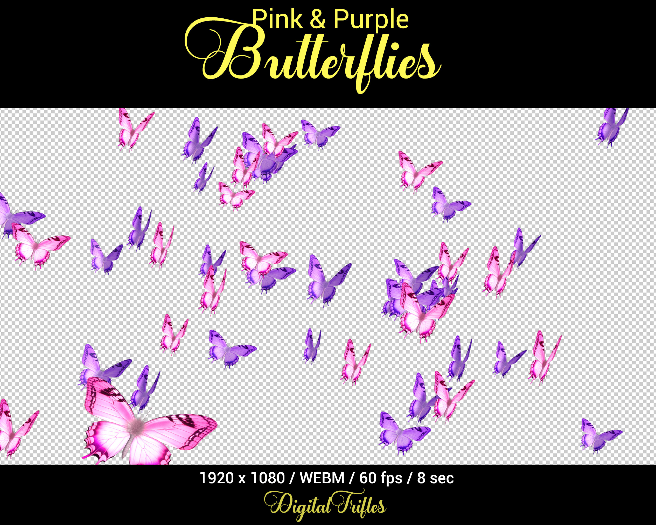 Animated Twitch Overlay Butterfly Themed, Stream Decoration, Fullscreen ...