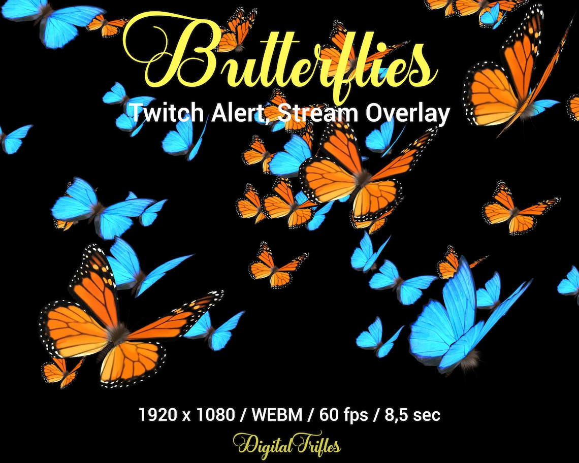Butterfly Twitch Overlay Animated Stream Decoration, Fullscreen Alert ...