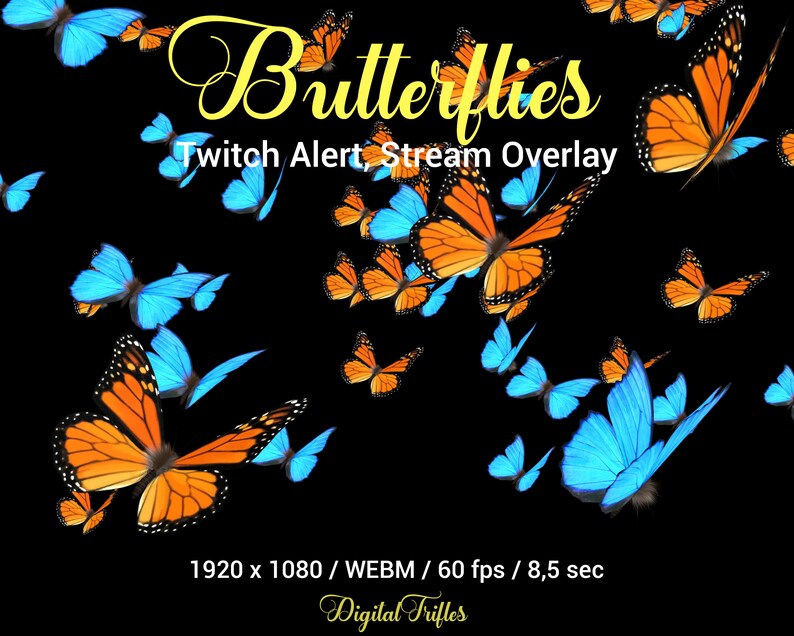 Butterfly Twitch Overlay Animated Stream Decoration, Fullscreen Alert ...